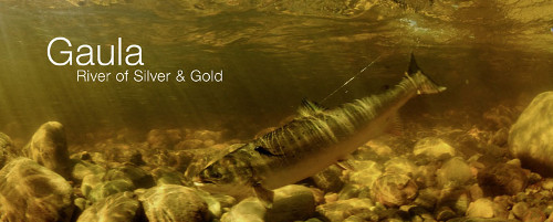 Articles, stories and more about Fly fishing - online magazine