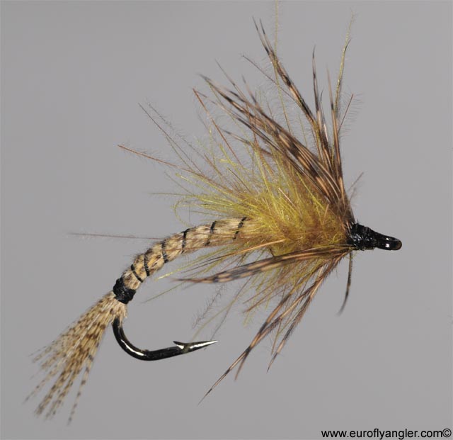 European Fly Angler - fly box Stillborn Mayfly