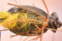 Fly fishing Europe, fly patterns