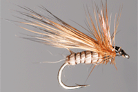 Fly fishing Europe, fly patterns