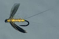 Fly fishing Europe, fly patterns