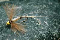 Fly fishing Europe, fly patterns