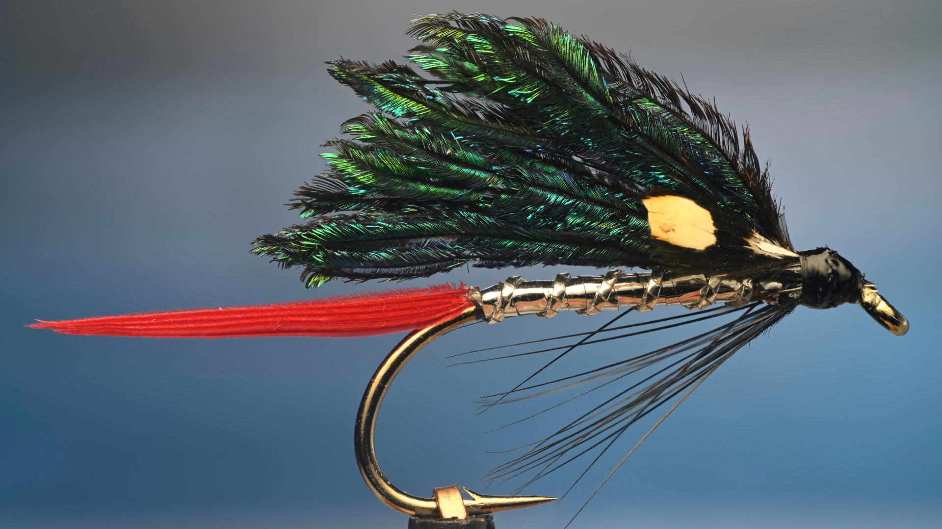 Alexandra Jungle Cock